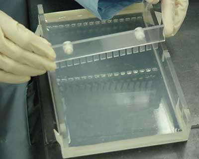 Designing and lasercutting custom electrophoresis gel trays and combs ...